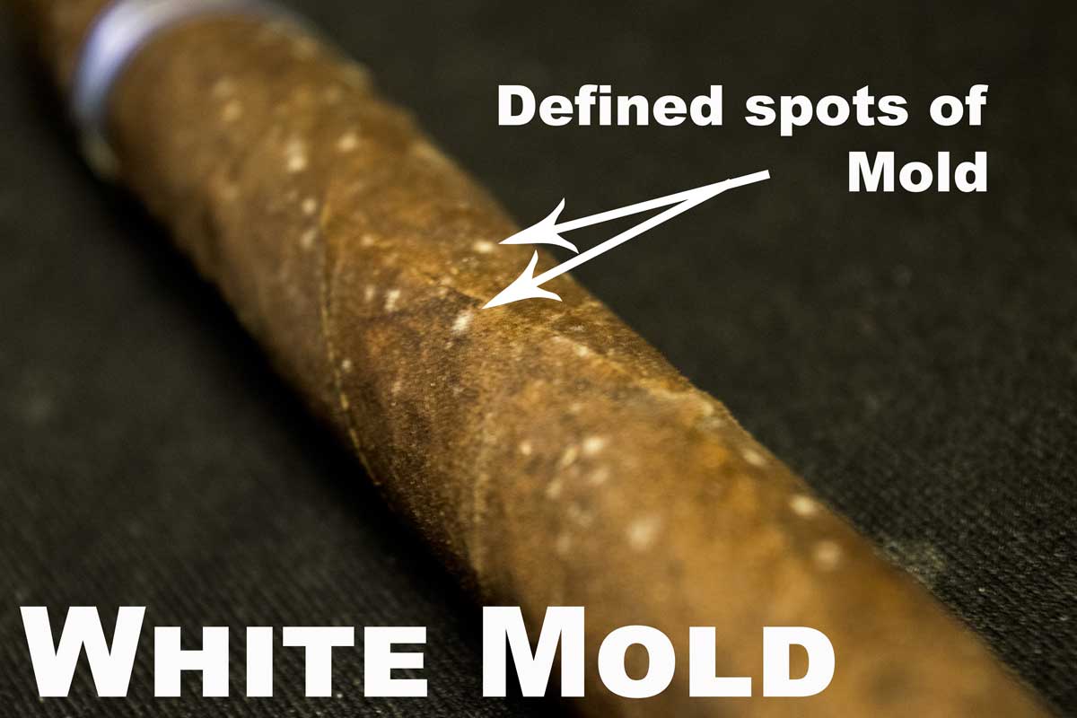 Plume or Mold? The Age Old Question. – CDM Cigars